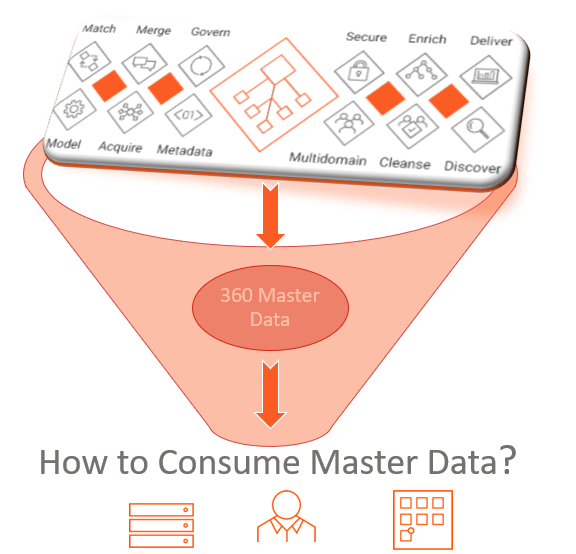 Master Data Consumption & Utilization